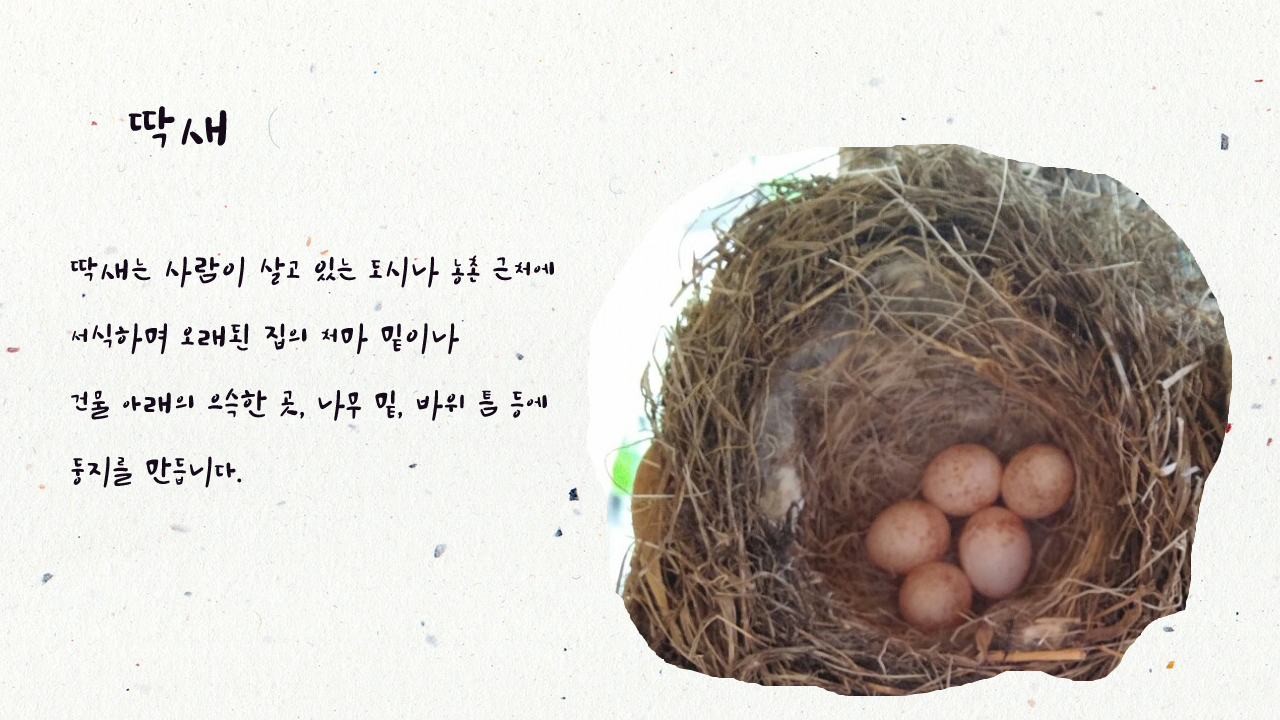 교사의 성장 파트너, 쌤동네